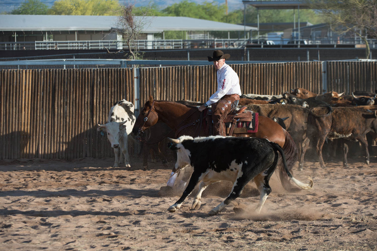 Montana Cowboy Makes it Professional – Weaver Equine