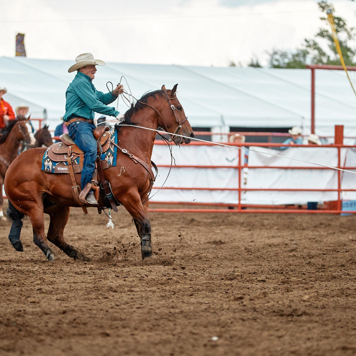 What Is Cowboy Christmas? – Weaver Equine