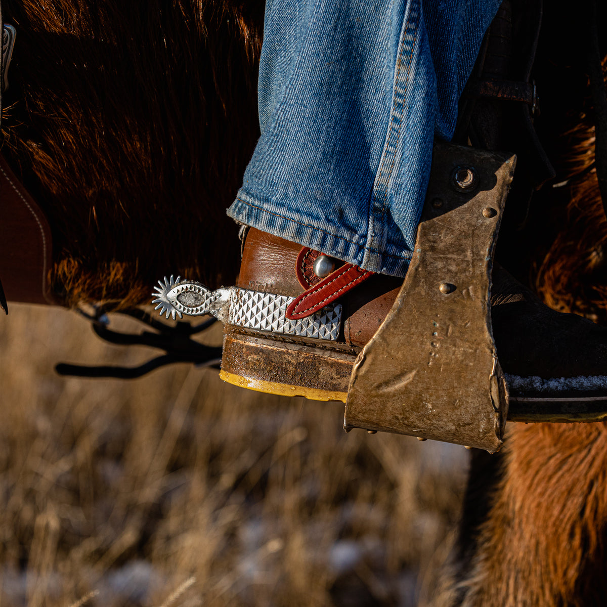Men's & Women's Boot Spurs - Weaver Equine
