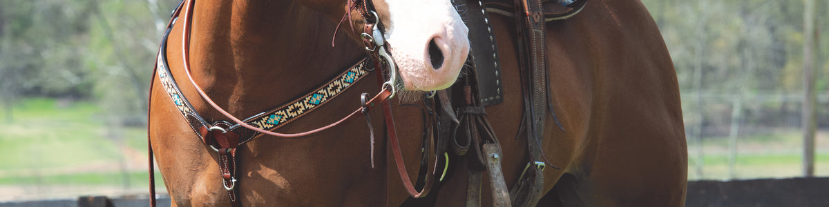 Aztec-Pattern Horse Tack & Accessories – Weaver Equine