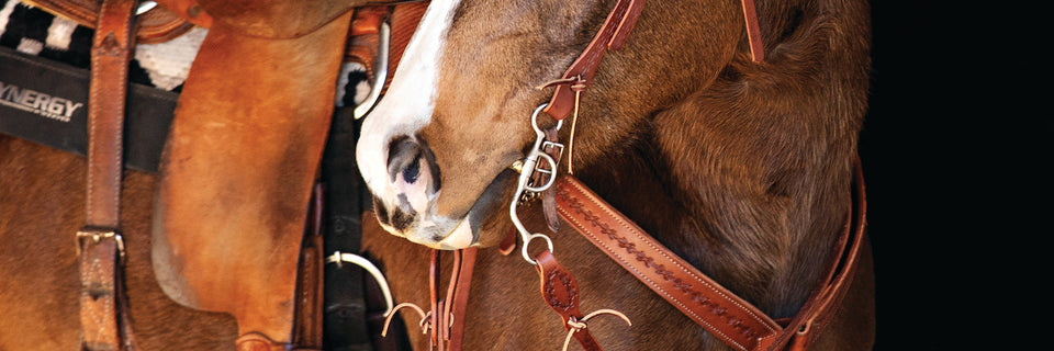 Bits & Spurs – Page 3 – Weaver Equine