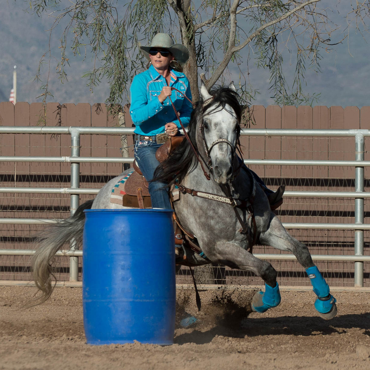 Premium Bit Guards for Horses - Weaver Equine