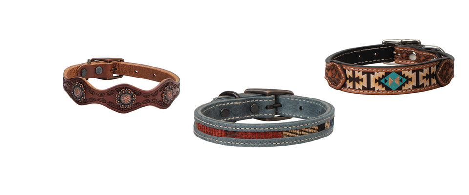 Western & Leather Dog Collars for Everyday Use & Training | Weaver Equine