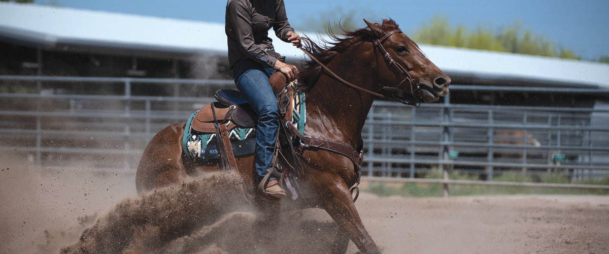 Shop Exclusive Products Only Here - Weaver Equine