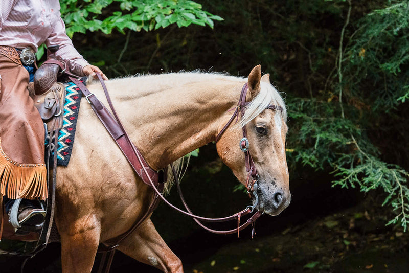 Leather Horse Tack | Headstalls, Reins & More | Weaver Equine