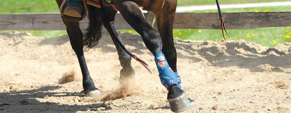 Premium Polo Wraps, Boots & Leg Care - Weaver Equine