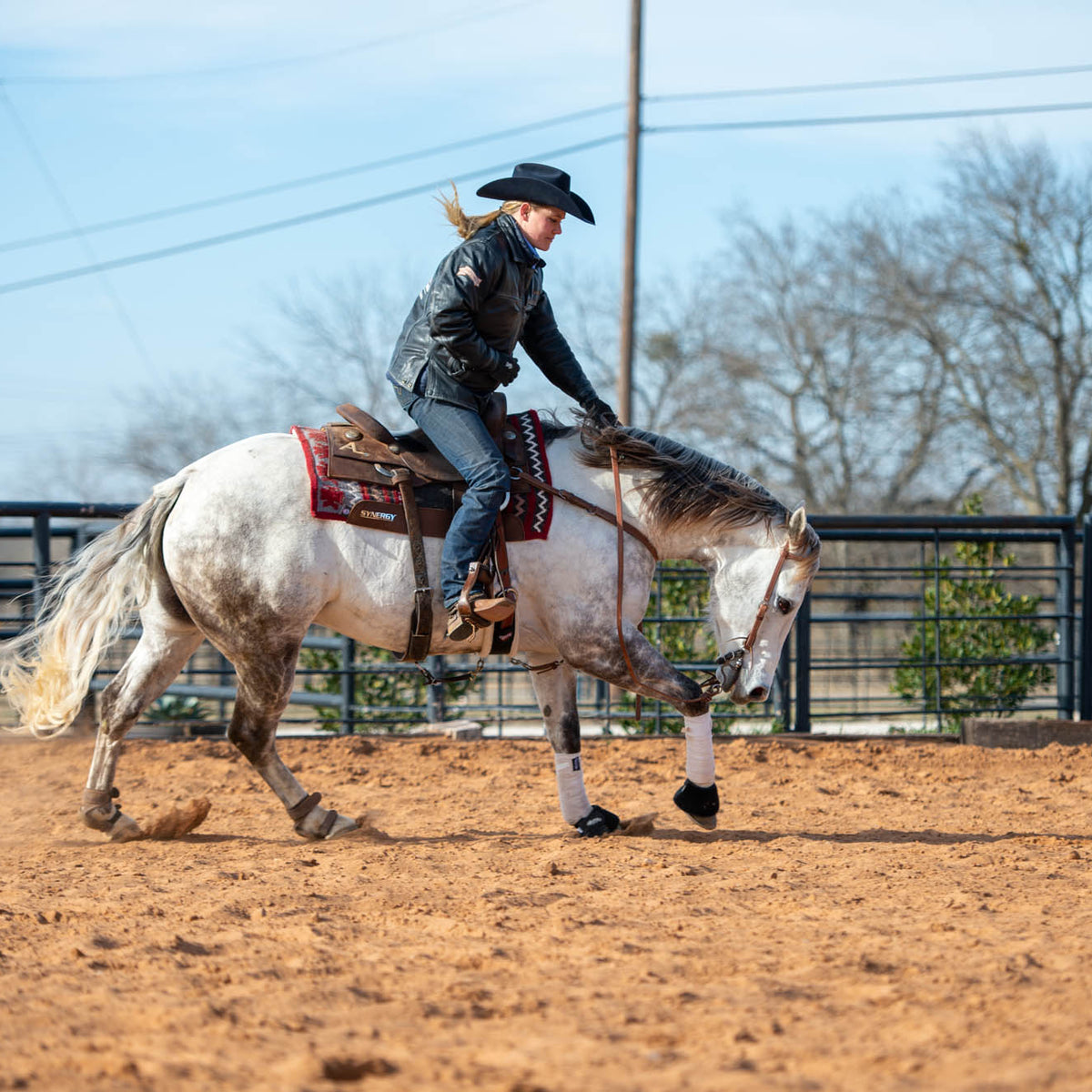 High-Quality Quilted & Polo Leg Wraps - Weaver Equine