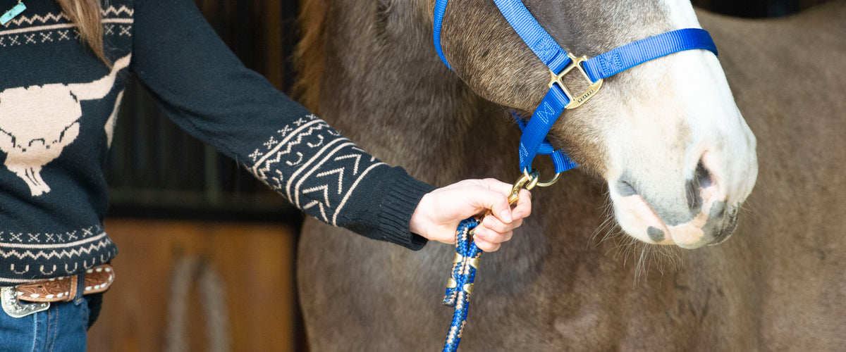 Durable Brass-Clasp Poly Lead Ropes - Weaver Equine