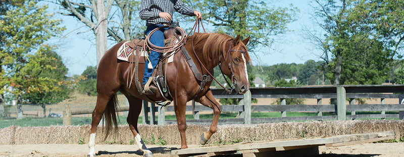 Smart Cinch® Horse Cinches - Weaver Equine