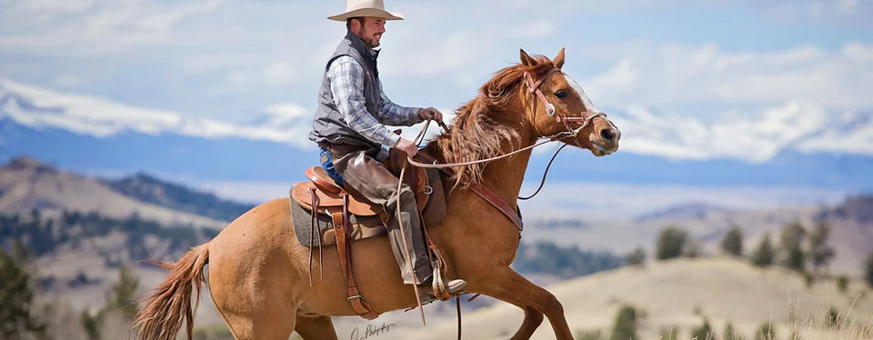 High-Quality Leather Side Pulls - Weaver Equine