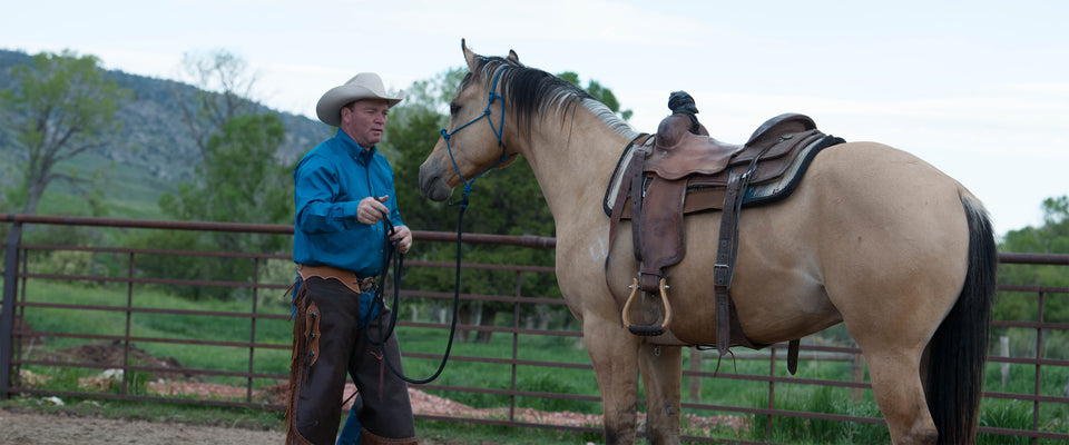 Premium Quality Silvertip Halters - Weaver Equine