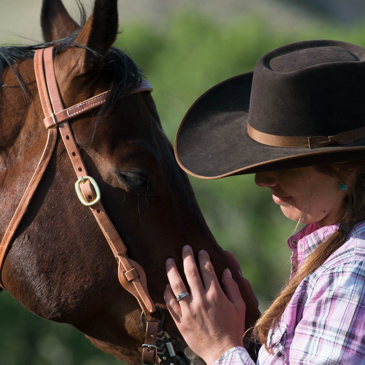 Quality Equestrian Tack Essentials - Weaver Equine