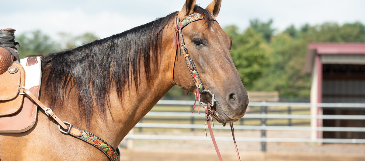 Cactus Tooled Tack Collection Western Style Leather Designs – Weaver Equine