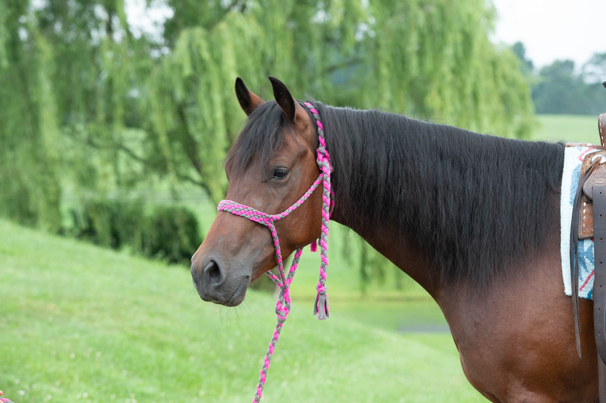 Braided Rope Halters – Weaver Equine