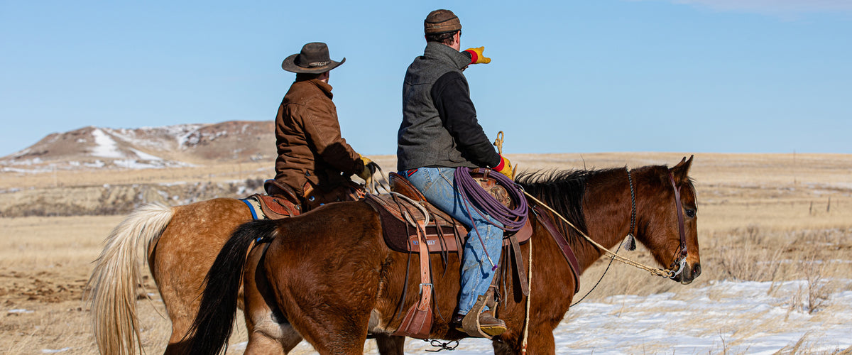High-Quality Get Down Ropes - Weaver Equine