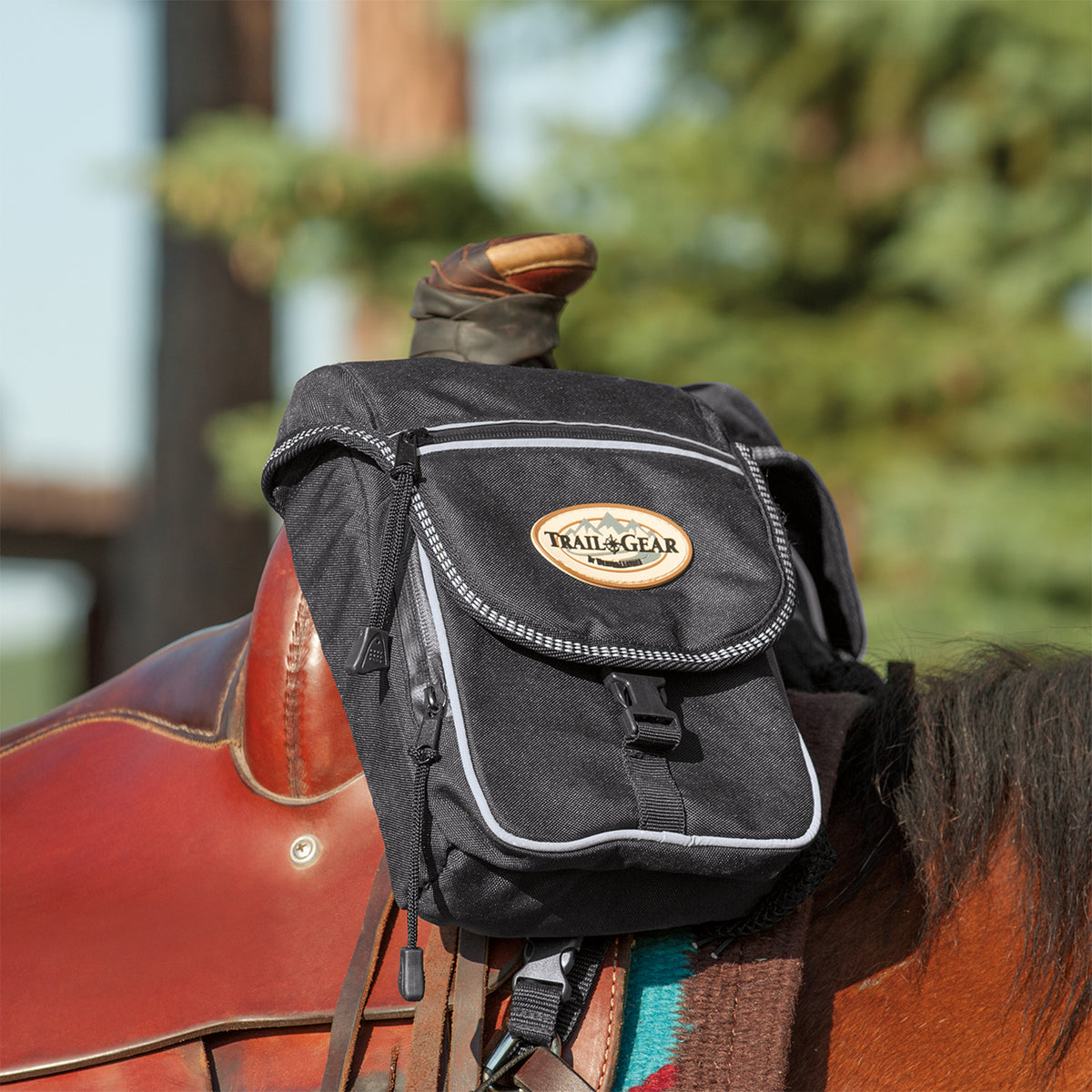 Horse Saddle Bags in Leather & Nylon - Weaver Equine