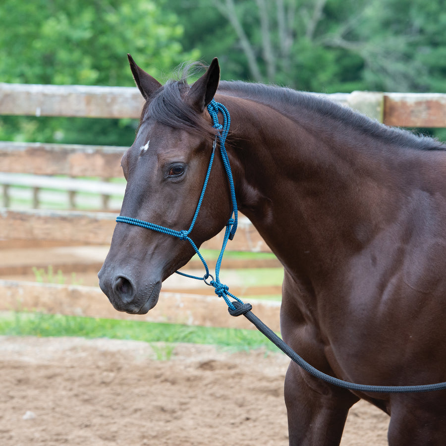 Silvertip Transition Rope Halter with Sliding Ring - Weaver Equine