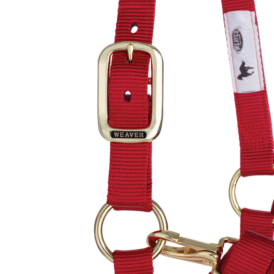Original Adjustable Halter - Weaver Equine