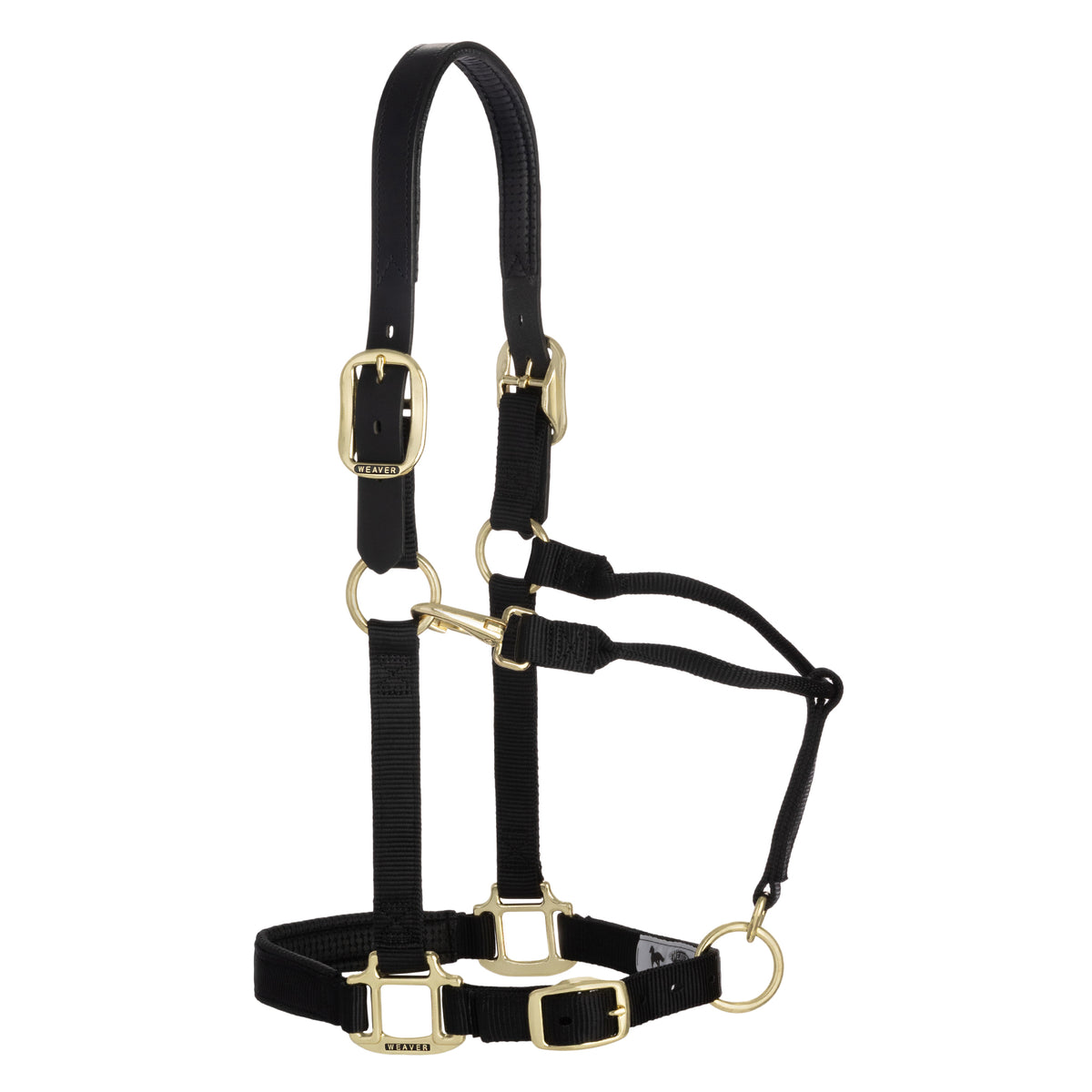 Breakaway Horse Halter, Adjustable – Weaver Equine
