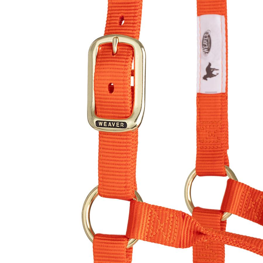 Original Non-Adjustable Halter, 1" – Weaver Equine