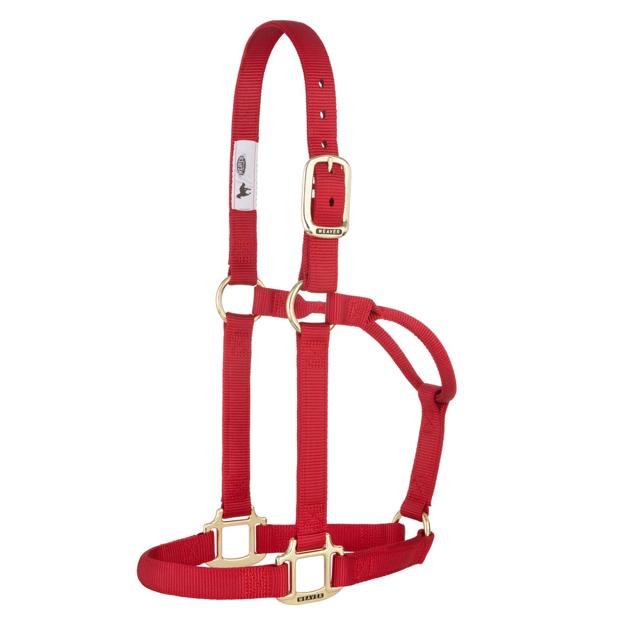 Original Non-Adjustable Halter, 1" – Weaver Equine