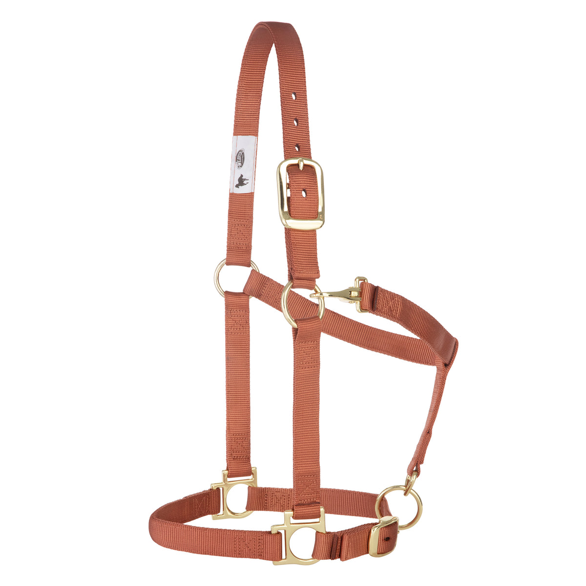 Basic Adjustable Chin and Throat Snap Halter – Weaver Equine