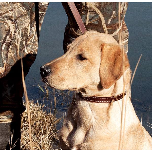 Deer Ridge Collar, 5/8" x 11" - Weaver Leather Equine – Weaver Equine