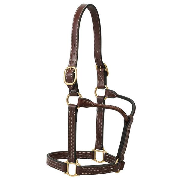 ThoroughBred Halter without Snap, 1 Horse - Weaver Leather Equine ...