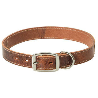 Western & Leather Dog Collars - Weaver Equine